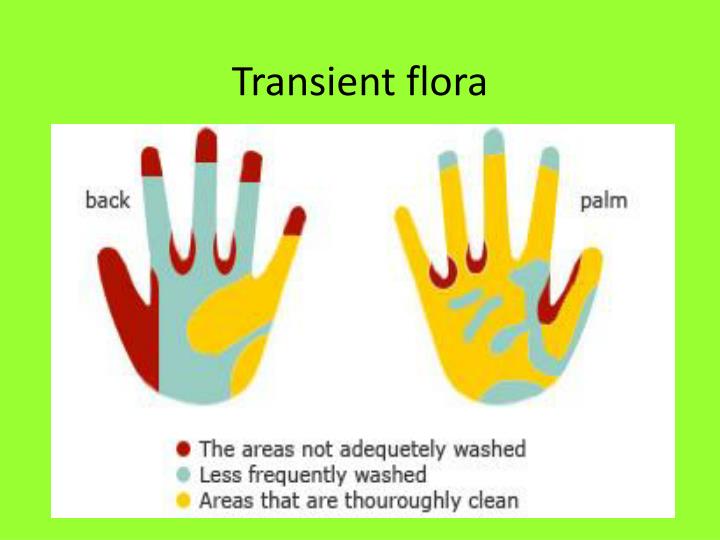 PPT - s of i PowerPoint Presentation - ID:2760328