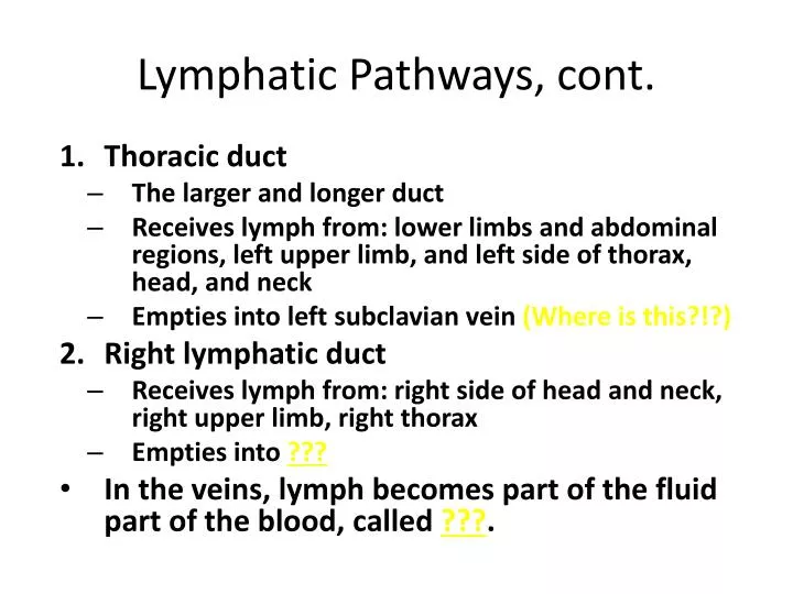 Ppt Lymphatic Pathways Cont Powerpoint Presentation Free Download