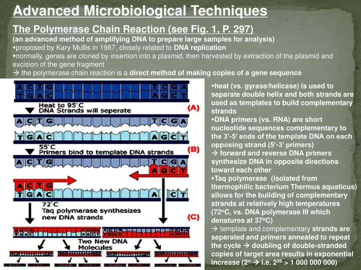 PPT - Advanced Microbiological Techniques PowerPoint Presentation, free ...