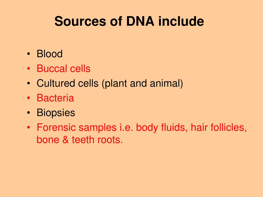 PPT - I. Basics of Molecular Biology: DNA, RNA, Protein, Transcription ...