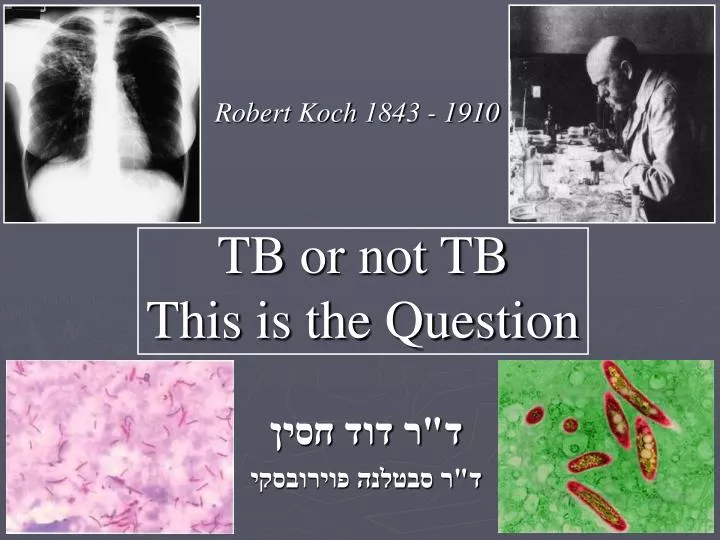 PPT - TB or not TB This is the Question PowerPoint Presentation, free ...