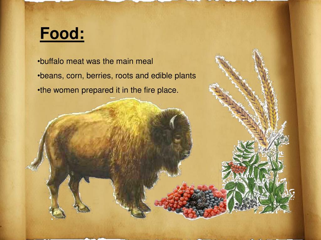PPT - The Prairie and Plains Indians and their fight for the ...