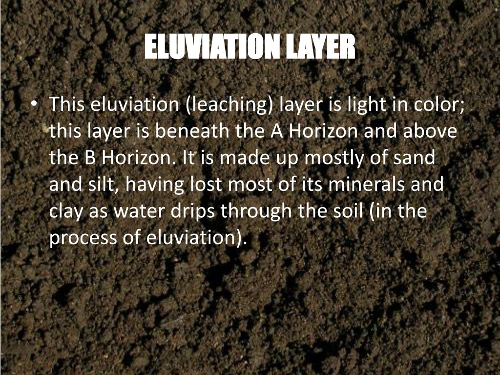 PPT - By: A lejandro Meza Moreno Lina Lovera Valeria Morales PowerPoint ...