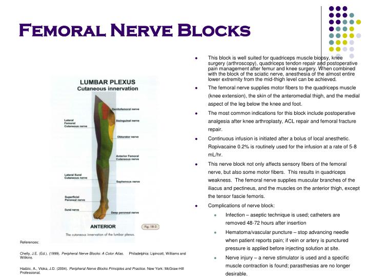 PPT - UPMC St. Margaret Nerve Block Rotation PowerPoint Presentation ...