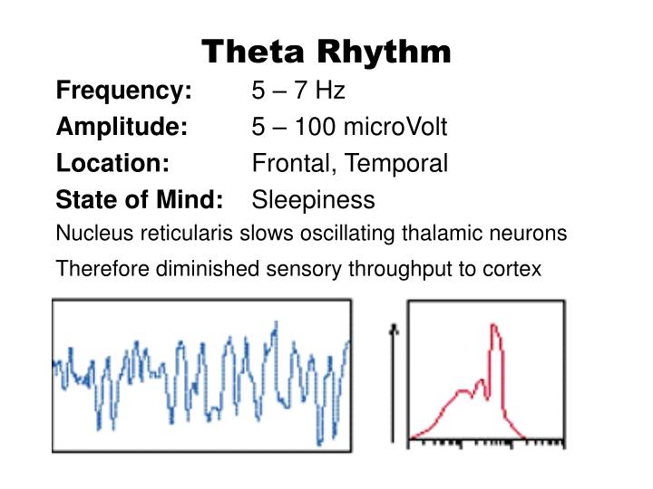 PPT - The ElectroEncephaloGramm PowerPoint Presentation - ID:2762153