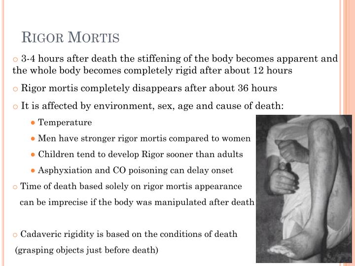 PPT - The Stages of Death PowerPoint Presentation - ID:2762479