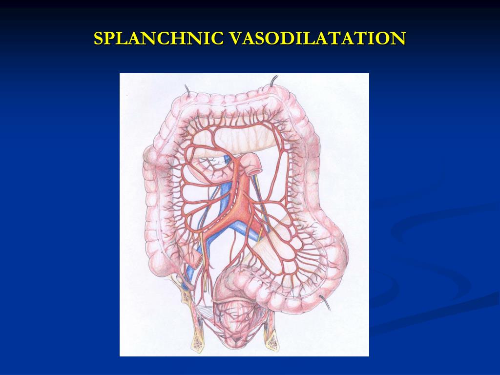 PPT - The patient with alcoholic liver disease in ITU PowerPoint ...