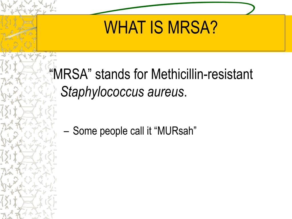 PPT - MRSA BENTONVILLE PUBLIC SCHOOLS PowerPoint Presentation, free ...