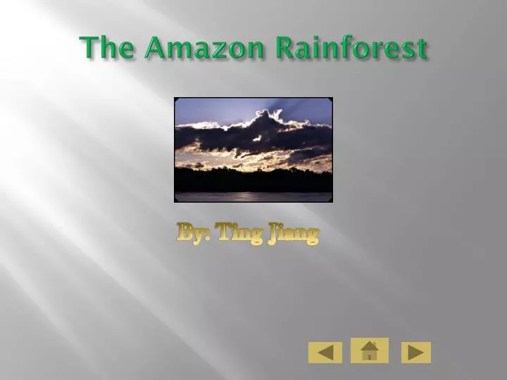 PPT - The Amazon Rainforest PowerPoint Presentation, free download - ID:2764080