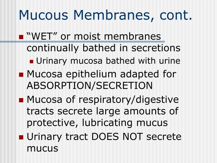 PPT - Chapter 4 Skin and Body Membranes PowerPoint Presentation - ID ...