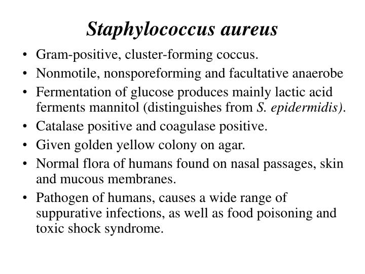 PPT - Bacterial Identification PowerPoint Presentation - ID:2764682