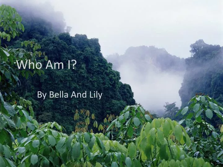 PPT - Who Am I? PowerPoint Presentation, free download - ID:2764975