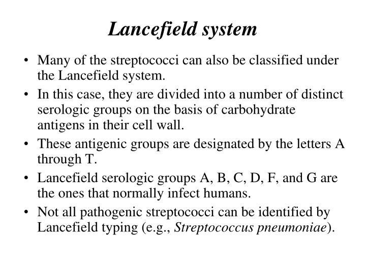 PPT - Bacterial Identification PowerPoint Presentation - ID:2765052