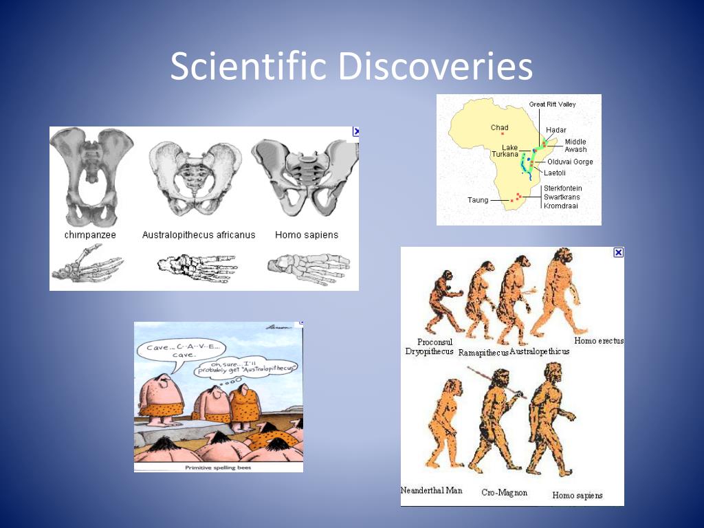 PPT - Human Origins in Africa PowerPoint Presentation, free download ...