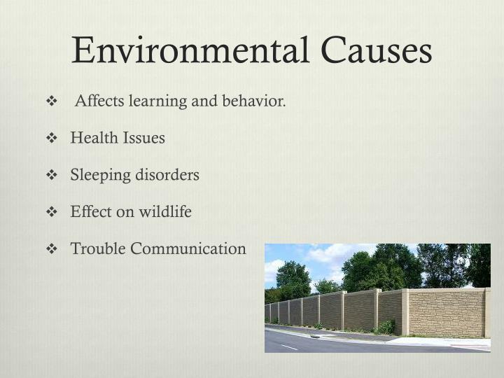 PPT - Noise Pollution PowerPoint Presentation - ID:2765635
