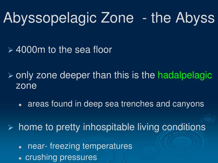 PPT - Deep Ocean Zones PowerPoint Presentation - ID:2765770