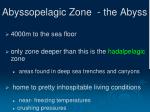 PPT - Deep Ocean Zones PowerPoint Presentation - ID:2765770