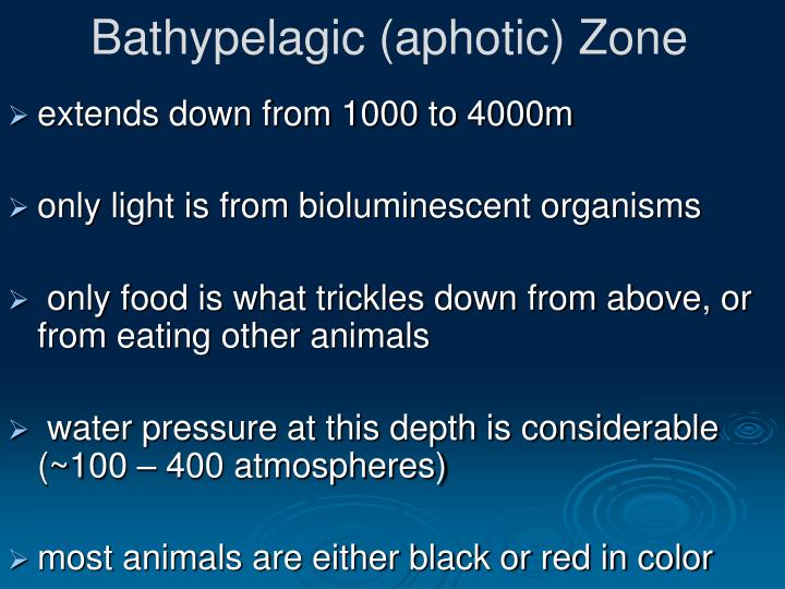 PPT - Deep Ocean Zones PowerPoint Presentation - ID:2765770