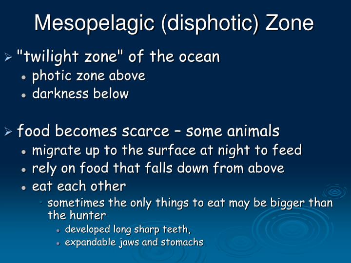 PPT - Deep Ocean Zones PowerPoint Presentation - ID:2765770