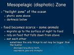 PPT - Deep Ocean Zones PowerPoint Presentation - ID:2765770