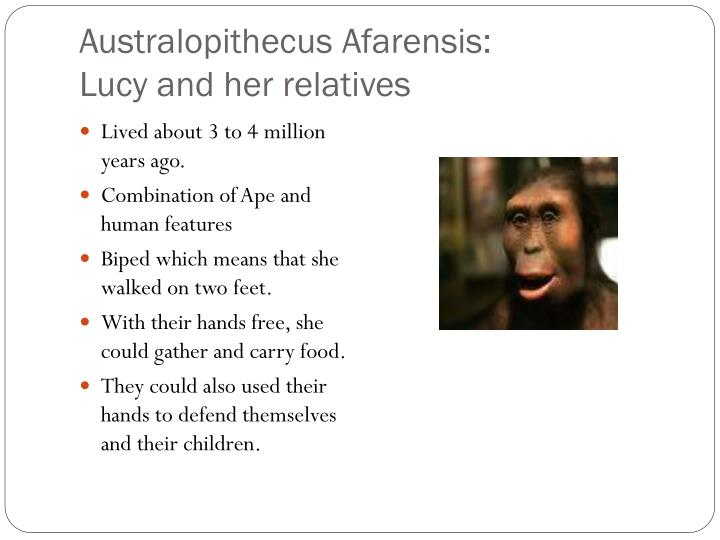 PPT - Early Hominids PowerPoint Presentation - ID:2765822