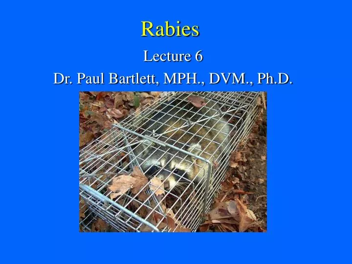PPT - Rabies PowerPoint Presentation, free download - ID:2766638