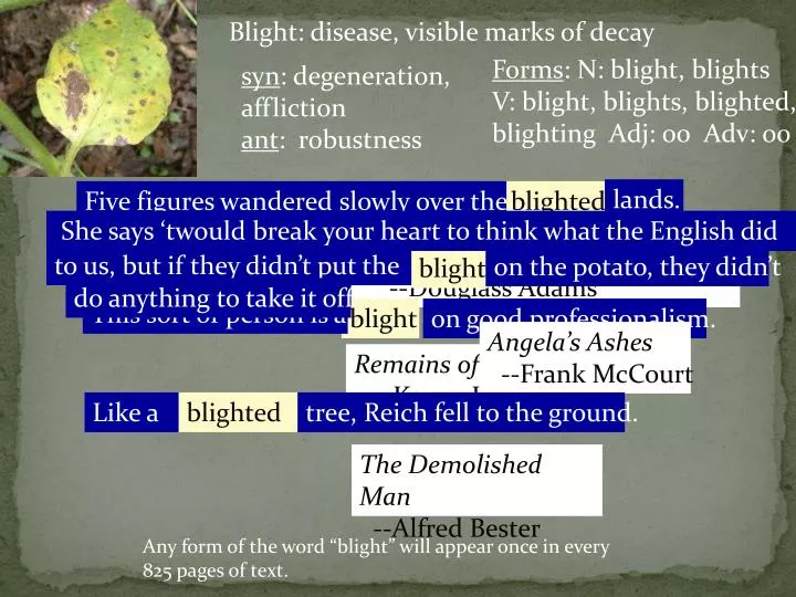 PPT - Blight: disease, visible marks of decay PowerPoint Presentation ...