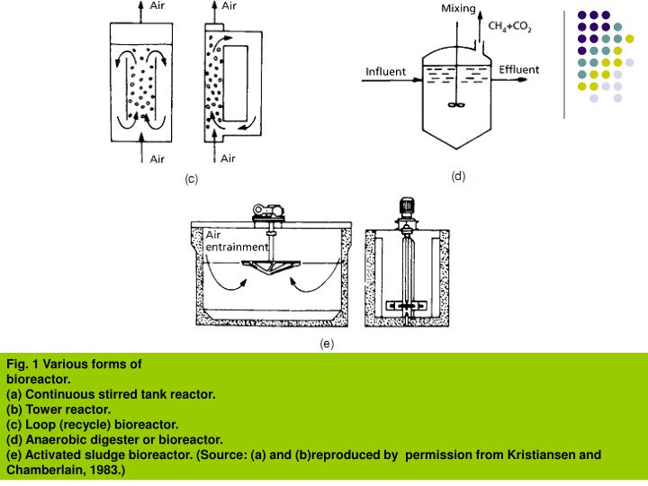 PPT - The bioreactor PowerPoint Presentation - ID:2767103