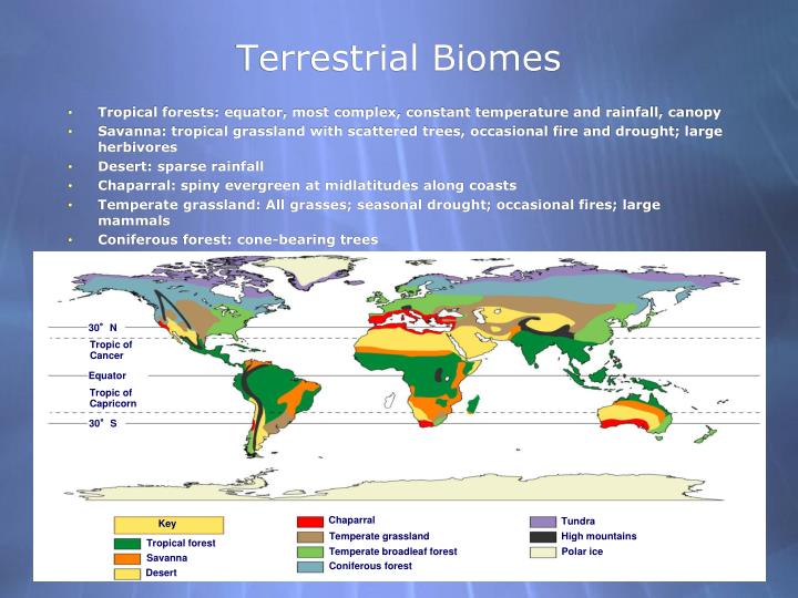 PPT - Biomes and The Biosphere PowerPoint Presentation - ID:2767333