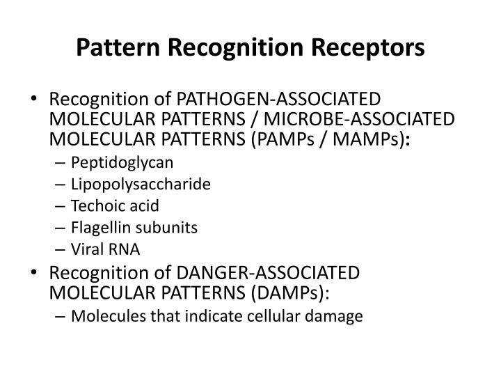 PPT - Chapter 14: Innate Immune System PowerPoint Presentation - ID:2767443