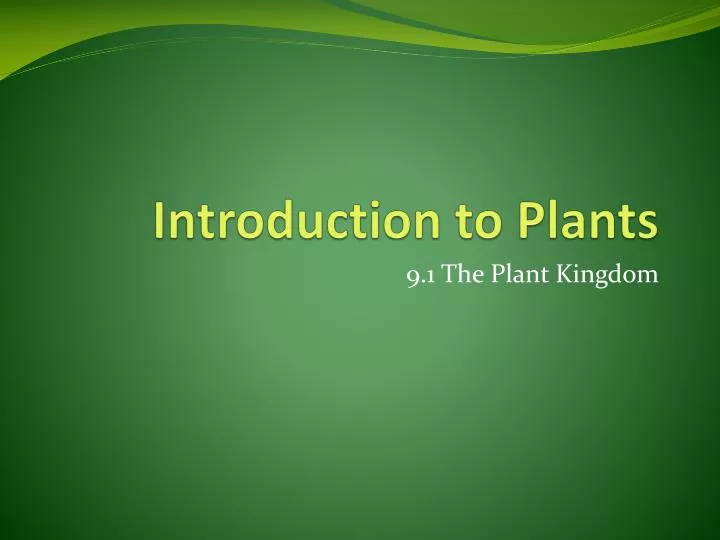 PPT - Introduction to Plants PowerPoint Presentation, free download ...