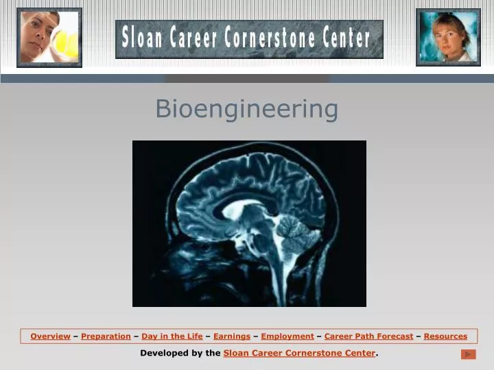 PPT - Bioengineering PowerPoint Presentation, free download - ID:2767554