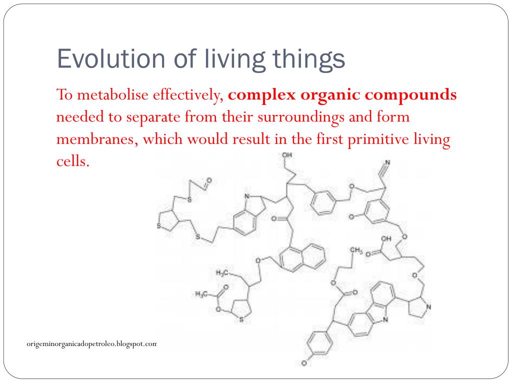 PPT - Life on Earth Topic 5: Evolution of Living Things PowerPoint ...