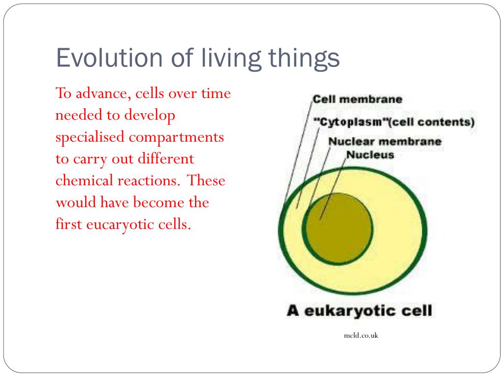 PPT - Life on Earth Topic 5: Evolution of Living Things PowerPoint ...