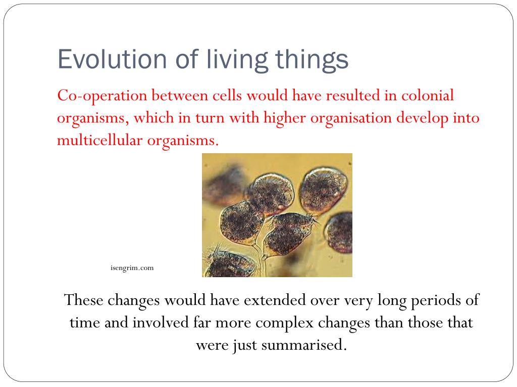 PPT - Life on Earth Topic 5: Evolution of Living Things PowerPoint ...