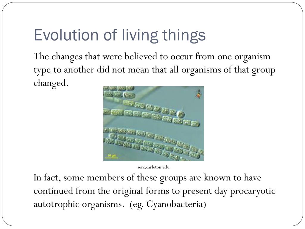PPT - Life on Earth Topic 5: Evolution of Living Things PowerPoint ...