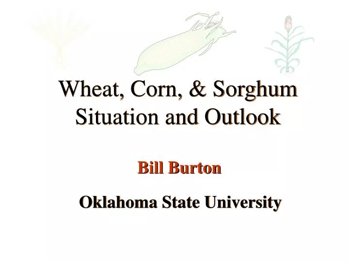 PPT - Oklahoma State University PowerPoint Presentation, free download ...