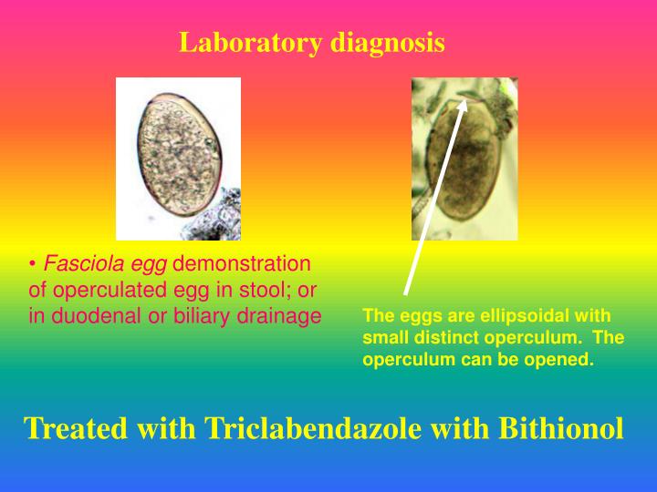 PPT - Medical Parasitology & Pathology PowerPoint Presentation - ID:2768724
