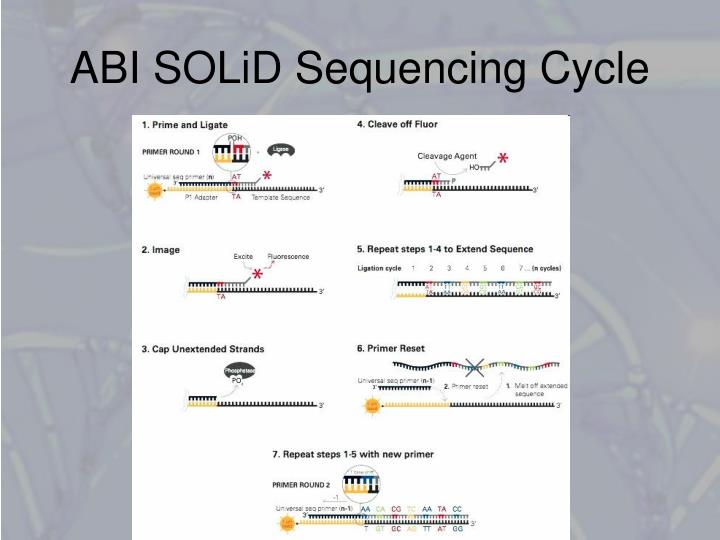 PPT - High-Throughput Sequencing PowerPoint Presentation - ID:2769069
