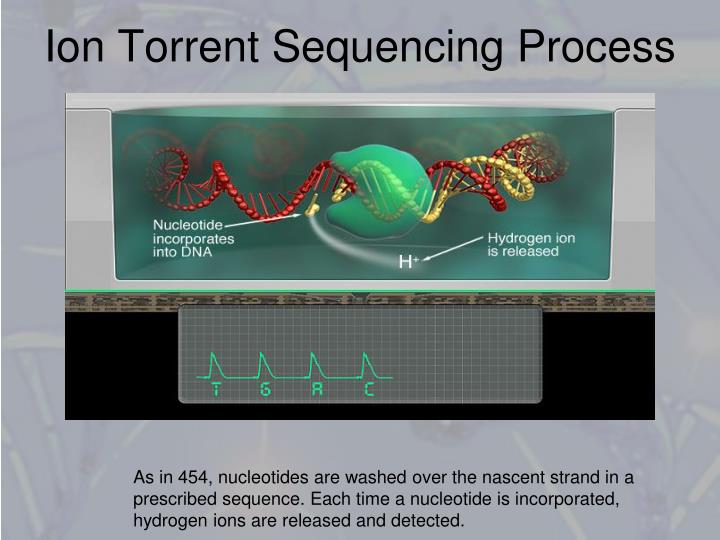 PPT - High-Throughput Sequencing PowerPoint Presentation - ID:2769069