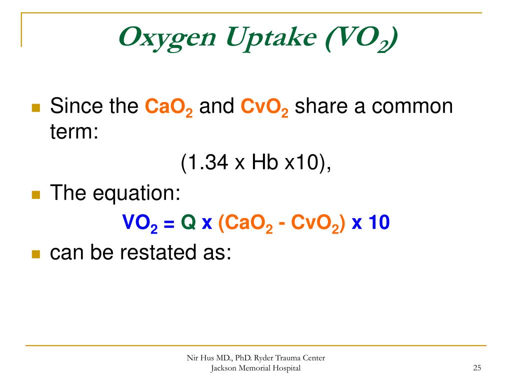 PPT - Trauma Surgery / Surgical Critical Care Ryder Trauma Center 8/4 ...