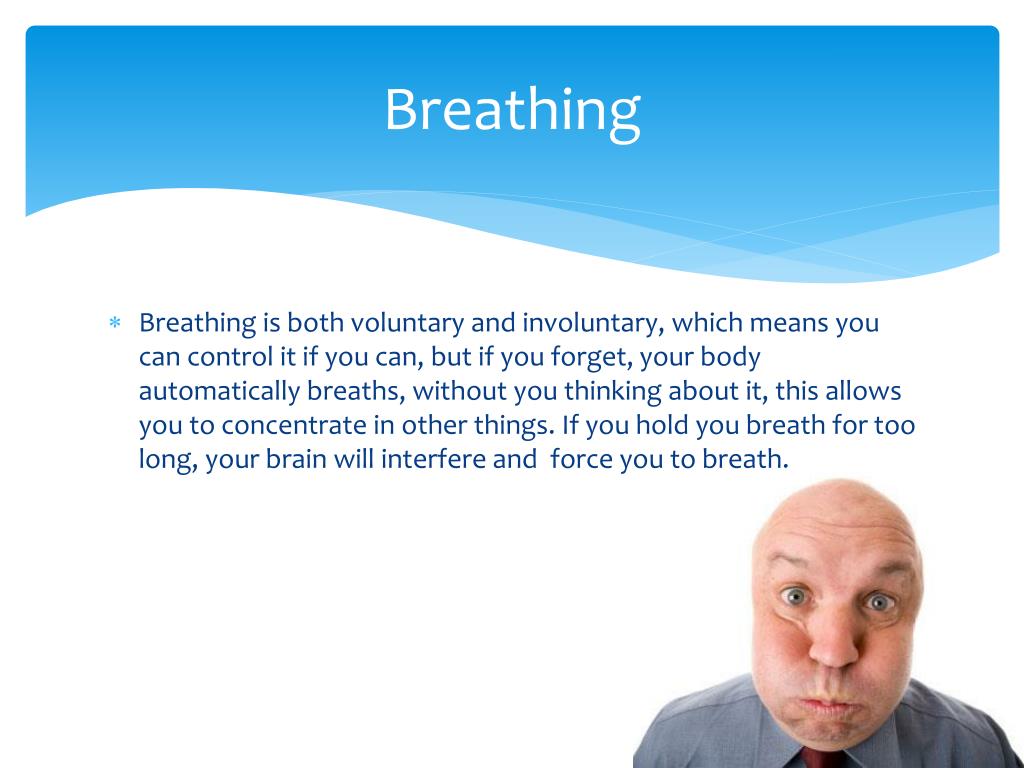 PPT - The Respiratory System PowerPoint Presentation, free download ...