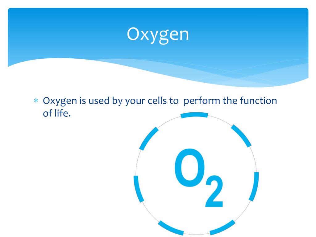 PPT - The Respiratory System PowerPoint Presentation, free download ...