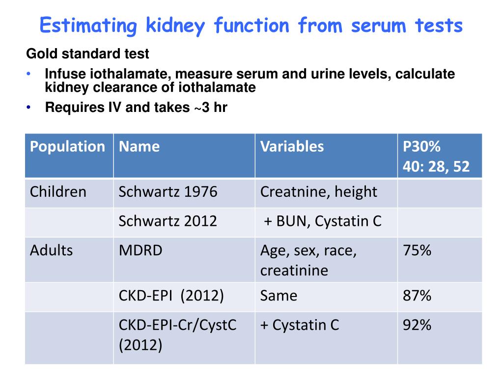 PPT - The kidney,chronic kidney disease and WAGR kidney disease ...