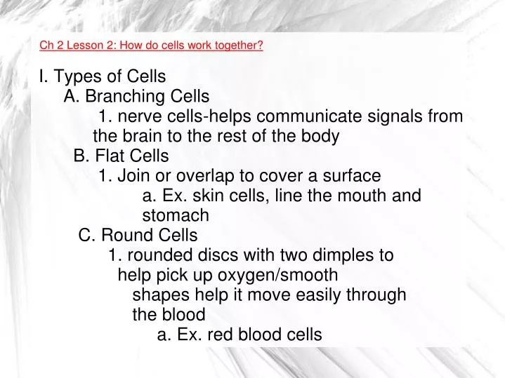 PPT - Ch 2 Lesson 2: How do cells work together? PowerPoint ...
