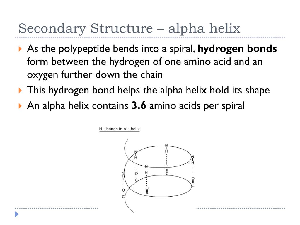 PPT - Cell Biology: Cell Compounds and Biological Molecules PowerPoint ...