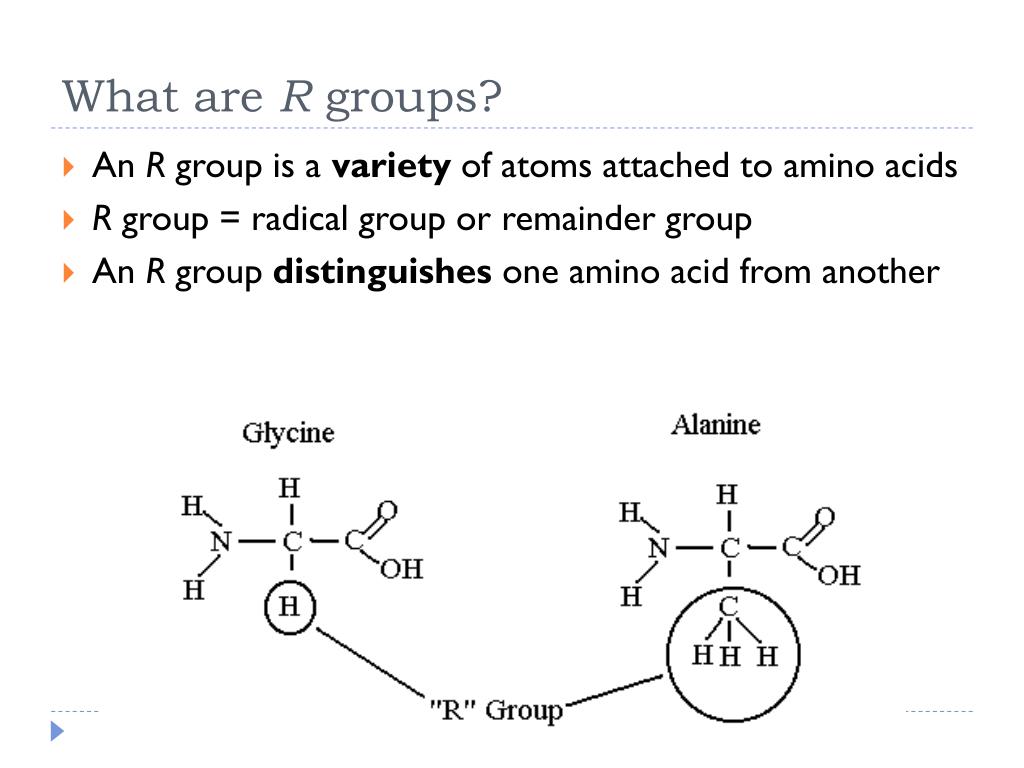 PPT - Cell Biology: Cell Compounds and Biological Molecules PowerPoint ...