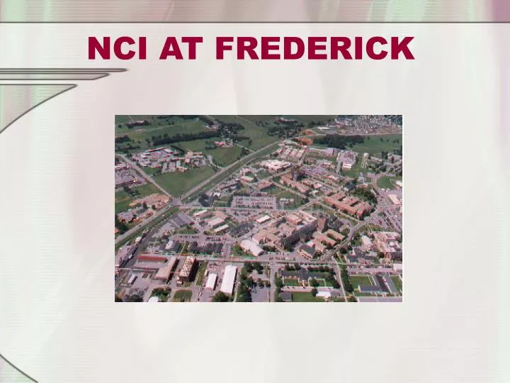 PPT - NCI AT FREDERICK PowerPoint Presentation, free download - ID:2771429