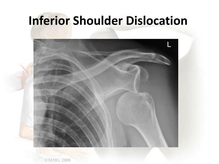 PPT - C ase S tudy PowerPoint Presentation - ID:2771435