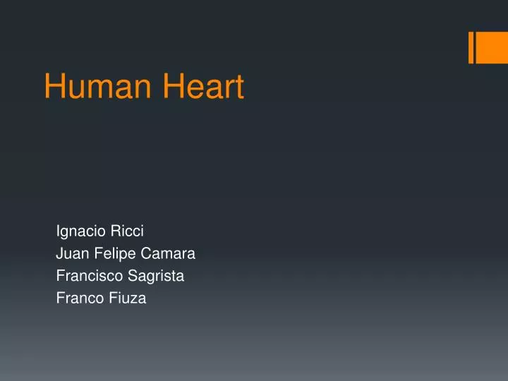 PPT - Human Heart PowerPoint Presentation, free download - ID:2772461